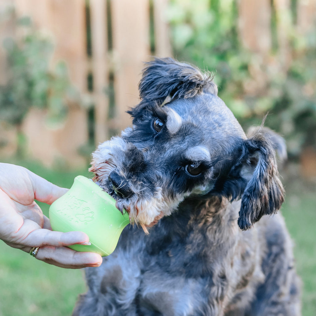 What is a Toppl and which size is right for my dog? – Moo Moo and Bear